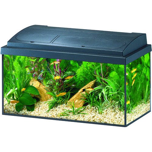 Akvarier | Sø-pet Dyrehandel Svendborg